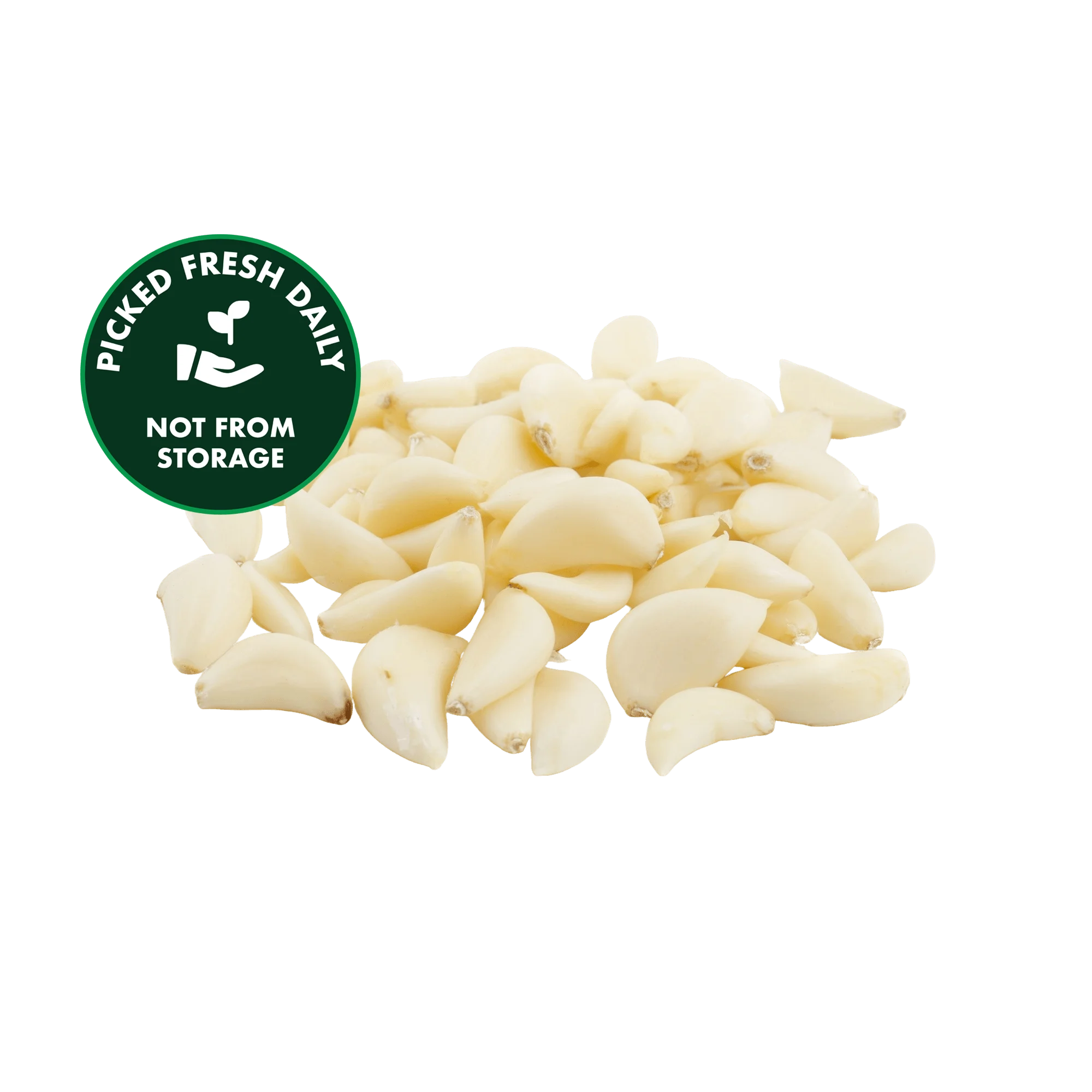 Buy Fresh Peeled Garlic - 250g Online at Best Prices in Pakistan Today