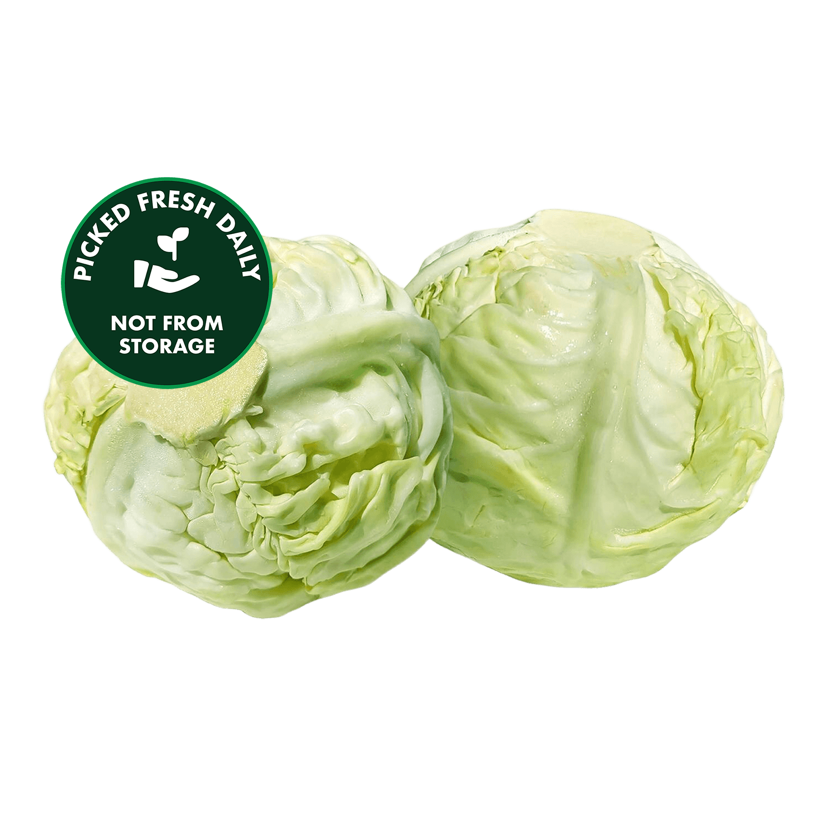 Buy Fresh Cabbage Green (Band Gobi) - 1 unit (600g-800g) Online at Best ...