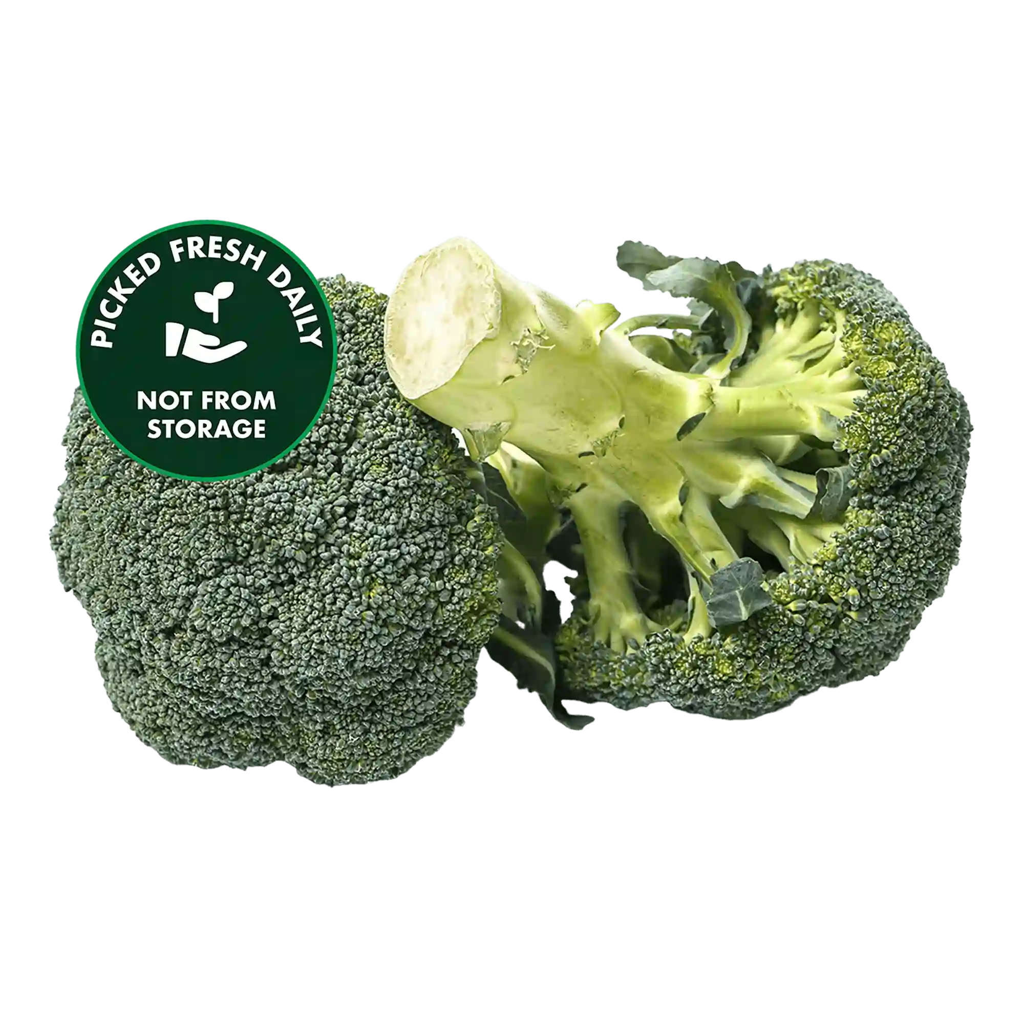 Buy Fresh Broccoli - 500g Online at Best Prices in Pakistan Today