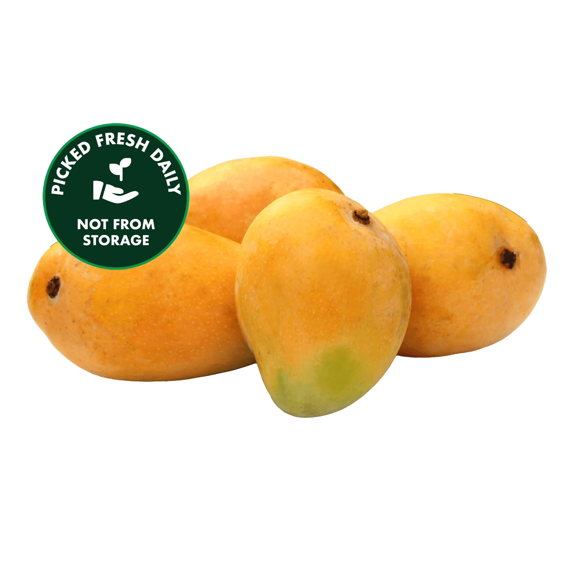 Buy Fresh Mango (Chaunsa) - 2kg Online at Best Prices in Pakistan Today